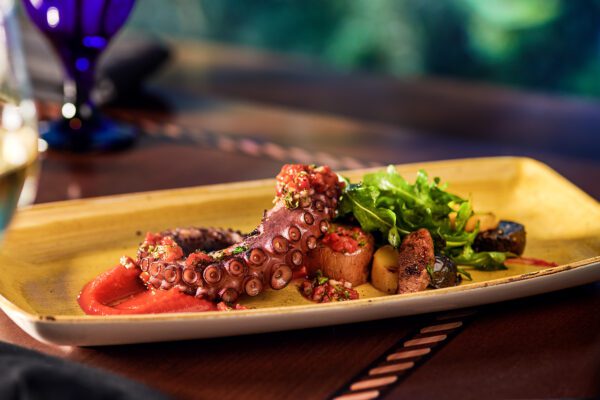 Gallery - RumFish Grill